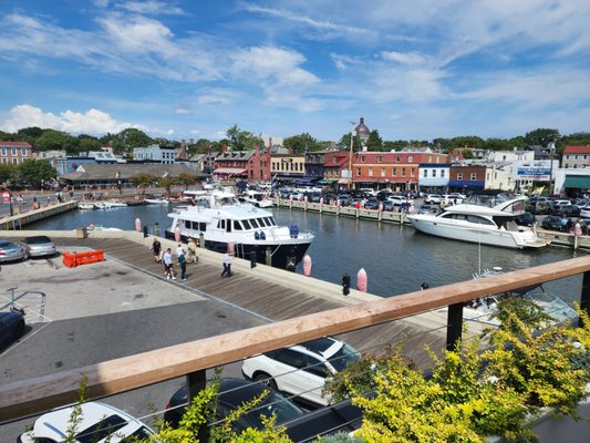 THE CHOPTANK - 139 Photos & 111 Reviews - 110 Compromise St, Annapolis ...