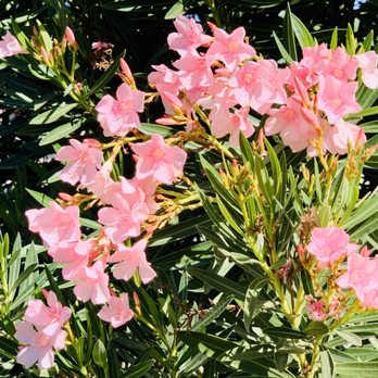 WHITE TANK LIBRARY - Updated December 2025 - 104 Photos & 43 Reviews ...