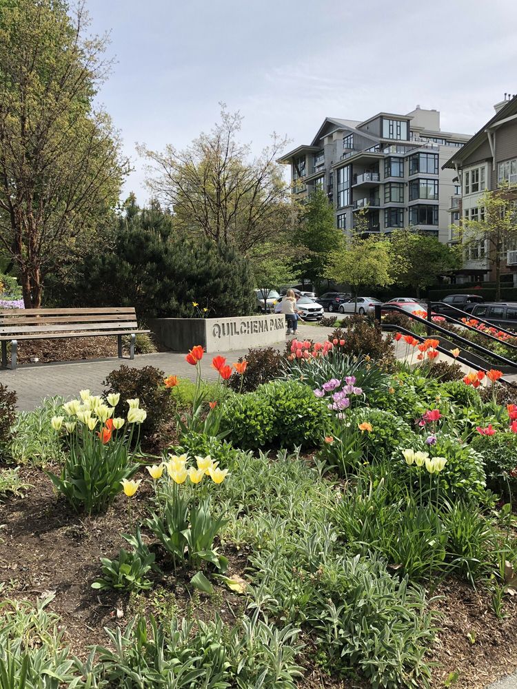 QUILCHENA OFF-LEASH DOG PARK - Updated November 2025 - 33rd and Pine ...