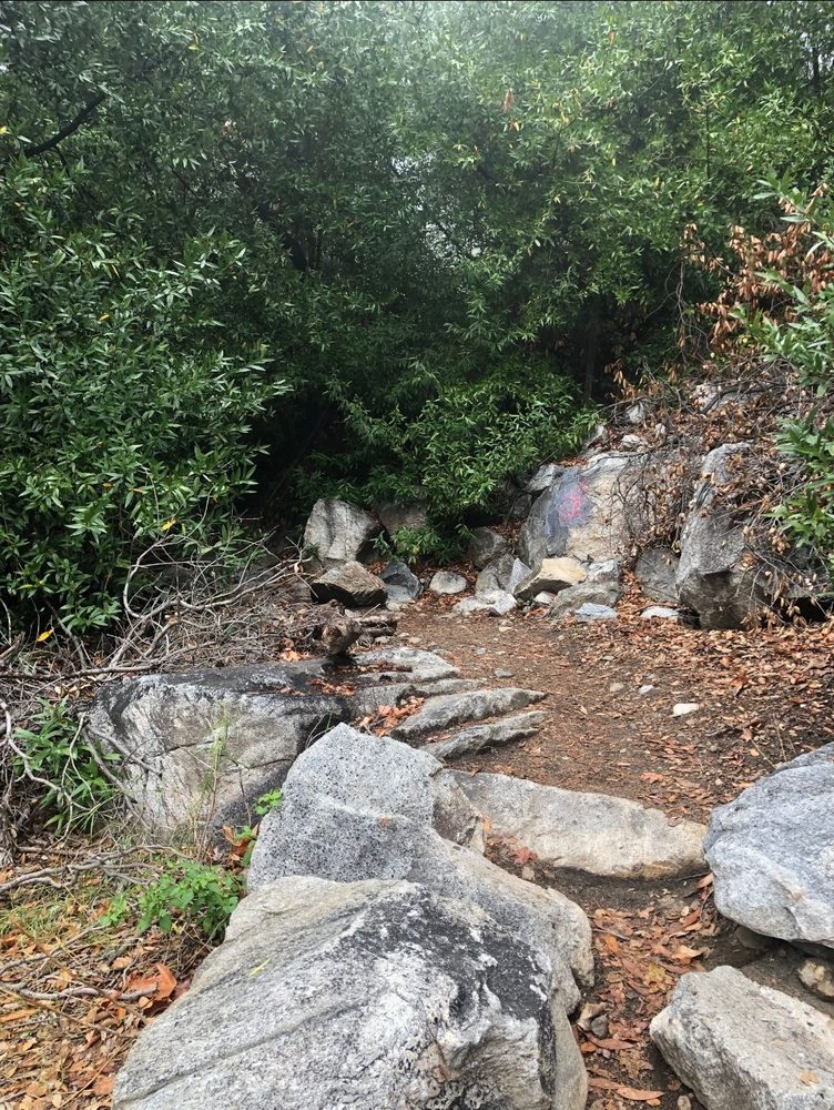 LEWIS FALLS - Updated December 2025 - 45 Photos - Azusa, California ...