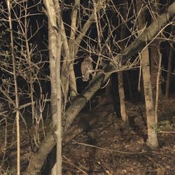 WALHALLA RAVINE - 18 Photos UPDATED - Landmarks & Historical Buildings ...