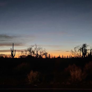 BUFFALO CHIP SALOON & STEAKHOUSE - Updated July 2024 - 490 Photos & 775 ...