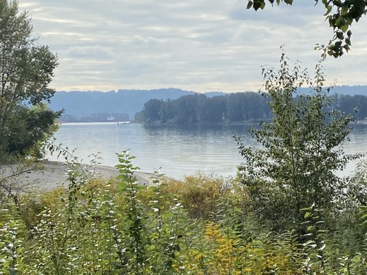 FRENCHMAN’S BAR REGIONAL PARK - Updated November 2025 - 34 Photos & 20 ...