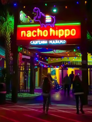 NACHO HIPPO - 515 Photos & 660 Reviews - 850 N Beach Blvd, North Myrtle ...