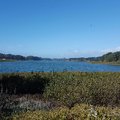 LAKE MERCED - 662 Photos & 275 Reviews - 1 Harding Rd, San Francisco ...