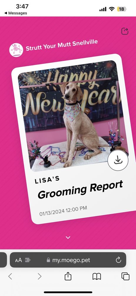 STRUTT YOUR MUTT - Updated December 2025 - 15 Photos & 32 Reviews - 5514 Lawrenceville Hwy ...