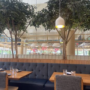 THE FINCH - Updated August 2024 - 253 Photos & 177 Reviews - 5307 East ...