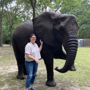 EAST TEXAS ELEPHANT EXPERIENCE - 26 Photos - 14041 Hwy 105 E, Cut and ...