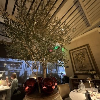 NOVIKOV - Updated June 2025 - 430 Photos & 195 Reviews - 257 North ...