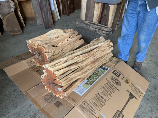 TROPICAL EXOTIC HARDWOODS OF LATIN AMERICA - Updated October 2025 - 29 ...