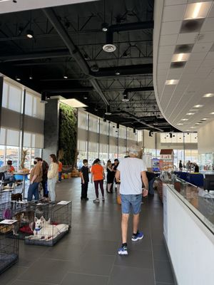 SUTHERLIN SUBARU HUNTINGTON BEACH - Updated June 2026 - 200 Photos ...