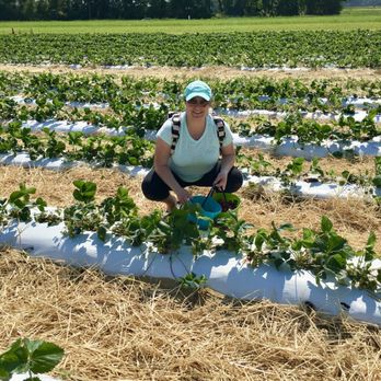 HALLOCK’S U-PICK FARM & GREENHOUSE - Updated December 2025 - 52 Photos ...