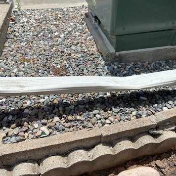 LLOYD PEST & TERMITE CONTROL - Updated July 2025 - 46 Photos & 257 ...