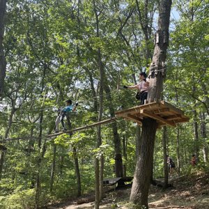 THE ADVENTURE PARK AT LONG ISLAND | 166 Photos & 161 Reviews - 75 ...