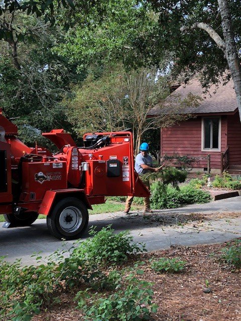 MONSTER TREE SERVICE OF CAPE FEAR - Updated January 2026 - 14 Photos ...