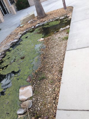 LARGO PUBLIC LIBRARY - Updated December 2025 - 84 Photos & 42 Reviews ...