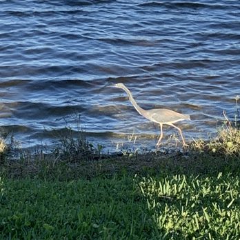 PINE ISLAND RIDGE - Updated October 2025 - 106 Photos - 9420 Live Oak ...