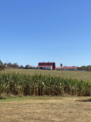 MAPLE LANE FARMS & CORN MAZE - Updated December 2025 - 29 Photos & 10 ...