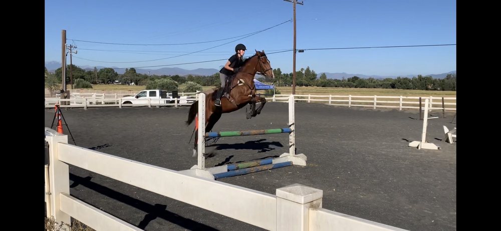 BLOSSOM HILL RANCH - Updated December 2025 - 54 Photos & 37 Reviews ...