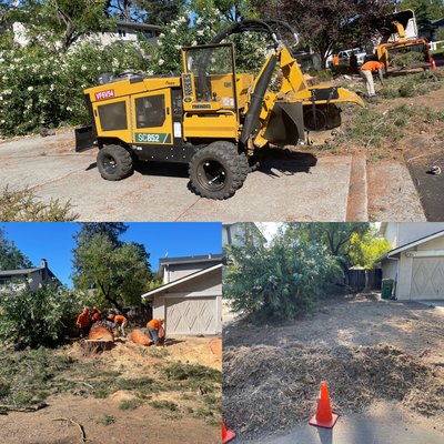 SUPERIOR TREE SERVICE - Updated October 2025 - 83 Photos & 145 Reviews ...