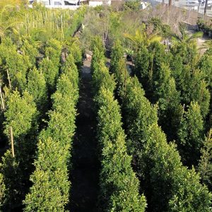 BAMBOO NURSERY & GARDEN SUPPLIES - Updated August 2025 - 28 Photos ...