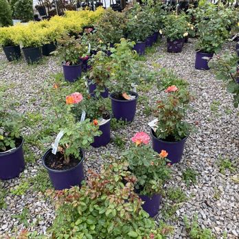 RIGHTWAY GARDEN CENTER - Updated October 2025 - 36 Photos & 12 Reviews ...