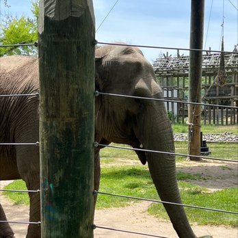 BUTTONWOOD PARK ZOO - Updated October 2024 - 185 Photos & 48 Reviews ...