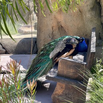 PALO ALTO JUNIOR MUSEUM & ZOO - Updated August 2025 - 720 Photos & 373 ...