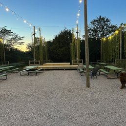 TALL TRELLIS BREW CO - Updated July 2025 - 93 Photos & 54 Reviews ...