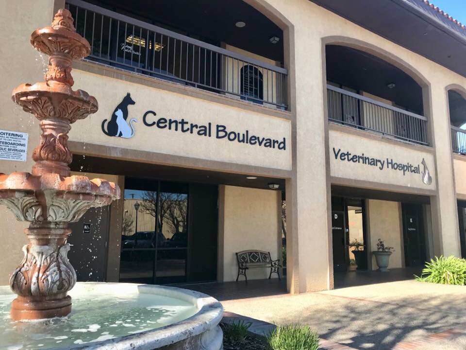 CENTRAL BOULEVARD VETERINARY HOSPITAL - Updated October 2025 - 139 ...