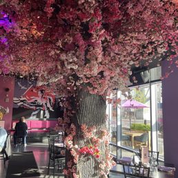 SORA - Updated December 2025 - 527 Photos & 211 Reviews - 1121 W 10th ...