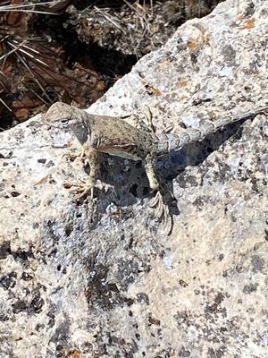 Rimrock, AZ Map & Directions - MapQuest