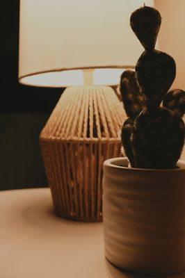 THE JOSHUA TREE SPA - Updated December 2025 - 14 Photos - 1845 ...