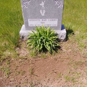 INTROVIGNE FUNERAL HOME - Updated November 2024 - 51 E Main St ...