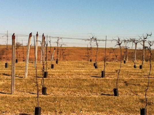 Friend, NE Map & Directions - MapQuest