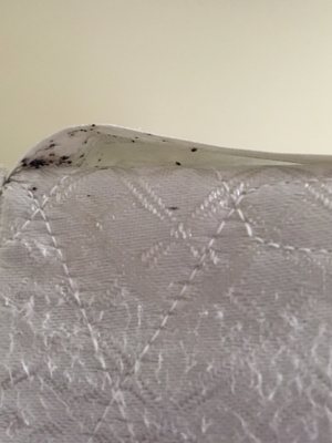 Rosslyn Lofts - 20 Photos & 50 Reviews - Apartments - 451 S Main St ...