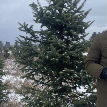 BROADVIEW CHRISTMAS TREE - Updated December 2025 - 28 Photos & 19 ...