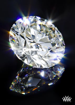 WHITEFLASH - Updated September 2025 - 185 Photos & 175 Reviews - 2150 ...