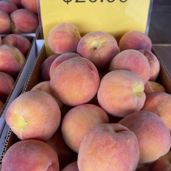 ALLRED ORCHARDS - Updated January 2026 - 23 Photos & 17 Real Reviews ...