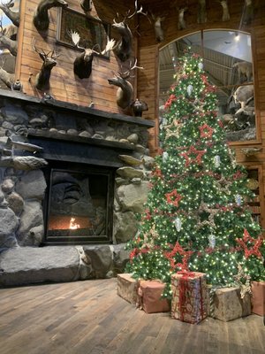 BASS PRO SHOPS - 652 Photos & 543 Reviews - Outdoor Gear - 1356 Bass ...