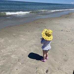 REXHAME BEACH - 36 Photos & 40 Reviews - Standish St, Marshfield ...