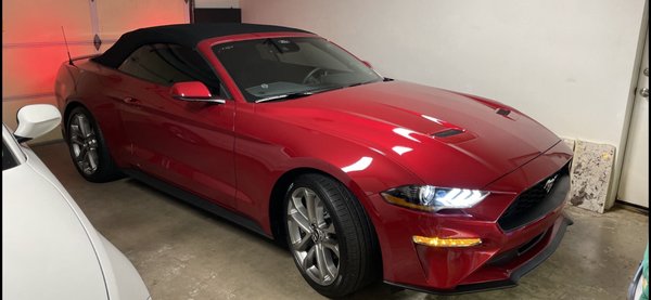 BELL FORD - Updated December 2025 - 207 Photos & 546 Reviews - 2401 W ...