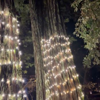 ALLIANCE REDWOODS CONFERENCE GROUNDS - Updated January 2026 - 100 ...