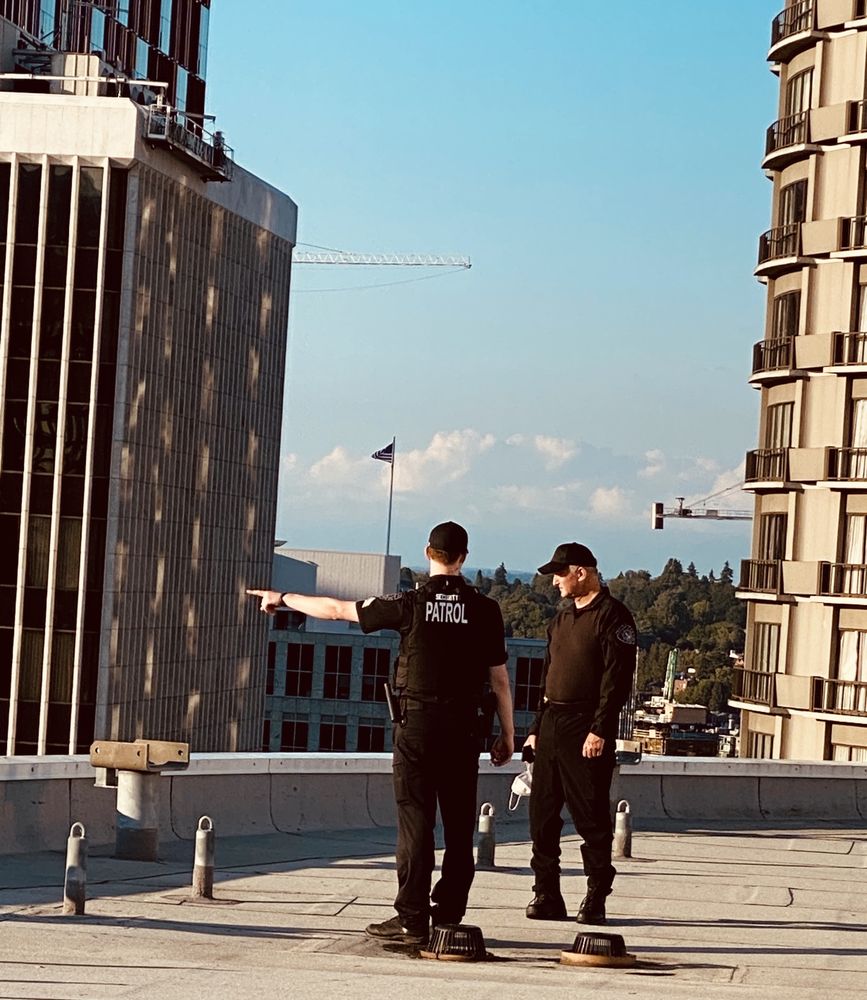 DAUNTLESS SECURITY GROUP - Updated December 2025 - Request a Quote ...