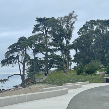 COYOTE POINT RECREATION AREA - Updated August 2025 - 667 Photos & 239 ...