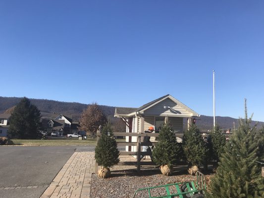 EAGLE EVERGREENS - Updated January 2026 - 20043 Hammond Rd, Spring Run ...