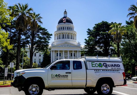 ECOGUARD - Updated October 2025 - 105 Photos - 920 Reviews - 808 ...
