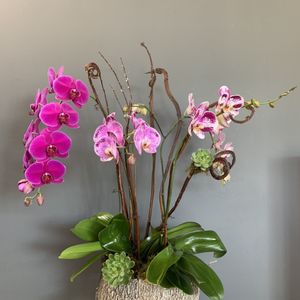 TRIAS FLOWERS AND GIFTS - Updated May 2025 - 289 Photos & 273 Reviews ...