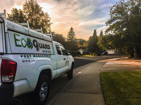 ECOGUARD - Updated October 2025 - 105 Photos - 920 Reviews - 808 ...