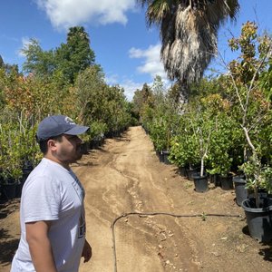 RAINBOW VALLEY NURSERY - 11 Photos - 2855 Rainbow Valley Blvd ...